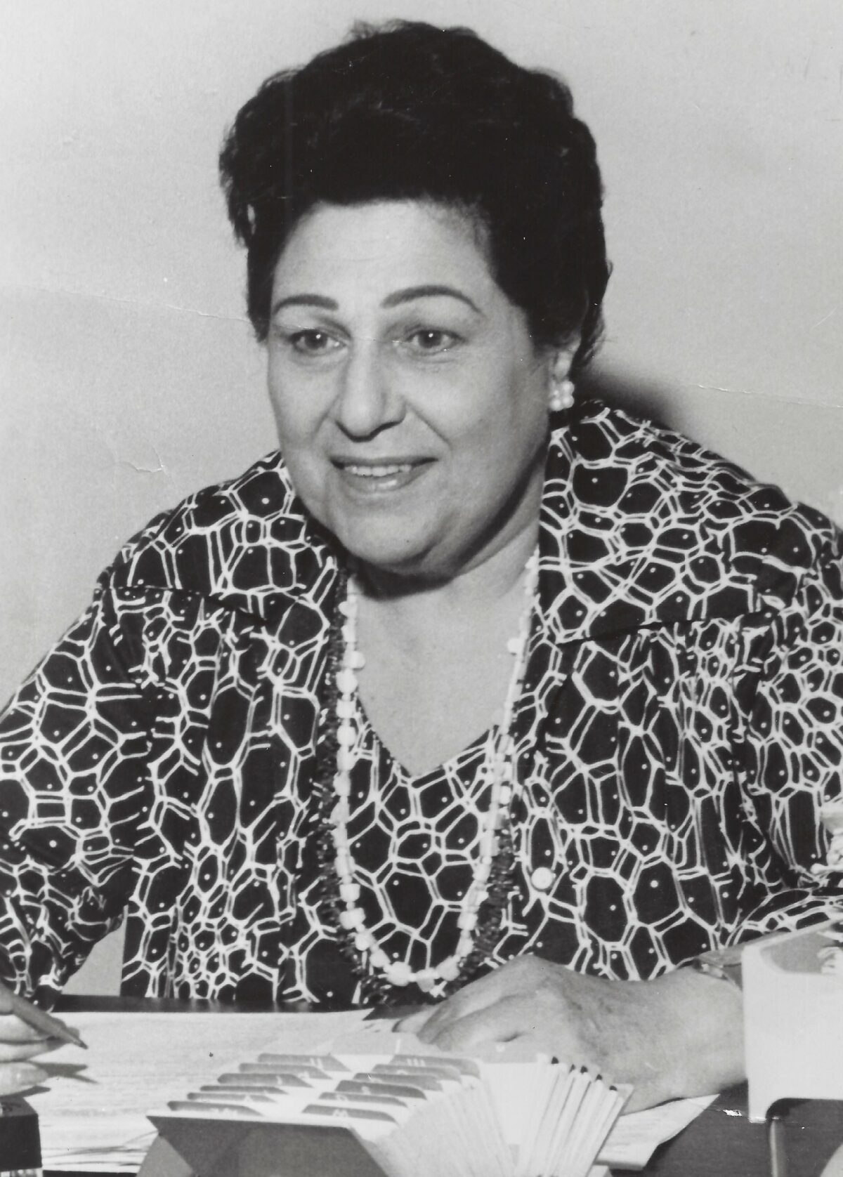 Our Founders – LevittQuinn Family Law Center